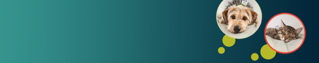 Inactive Client Program - Partners for Healthy Pets